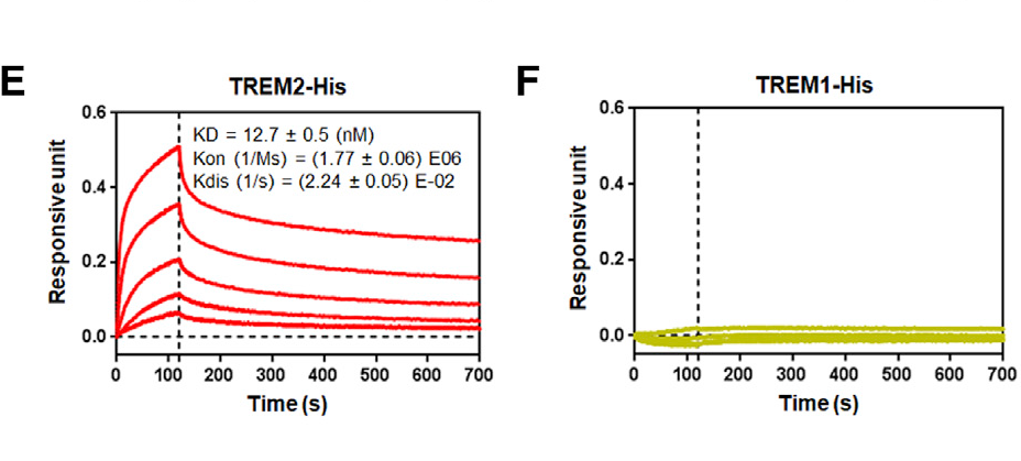 炎症和肿瘤免疫治疗新靶点：TREM1＆TREM2 - 知乎
