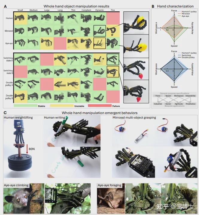 Science Robotics最新封面：开源可定制机械手实现过去与未来形态的具身操作 - 知乎