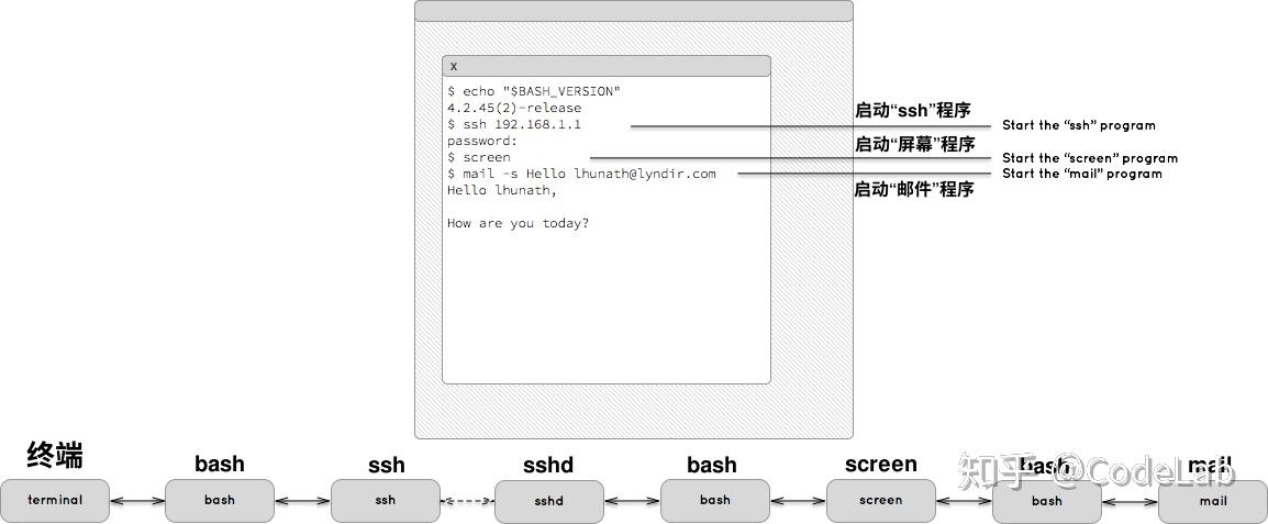 Bash 指南四篇之 bash 是什么，它活在哪里？ - 知乎