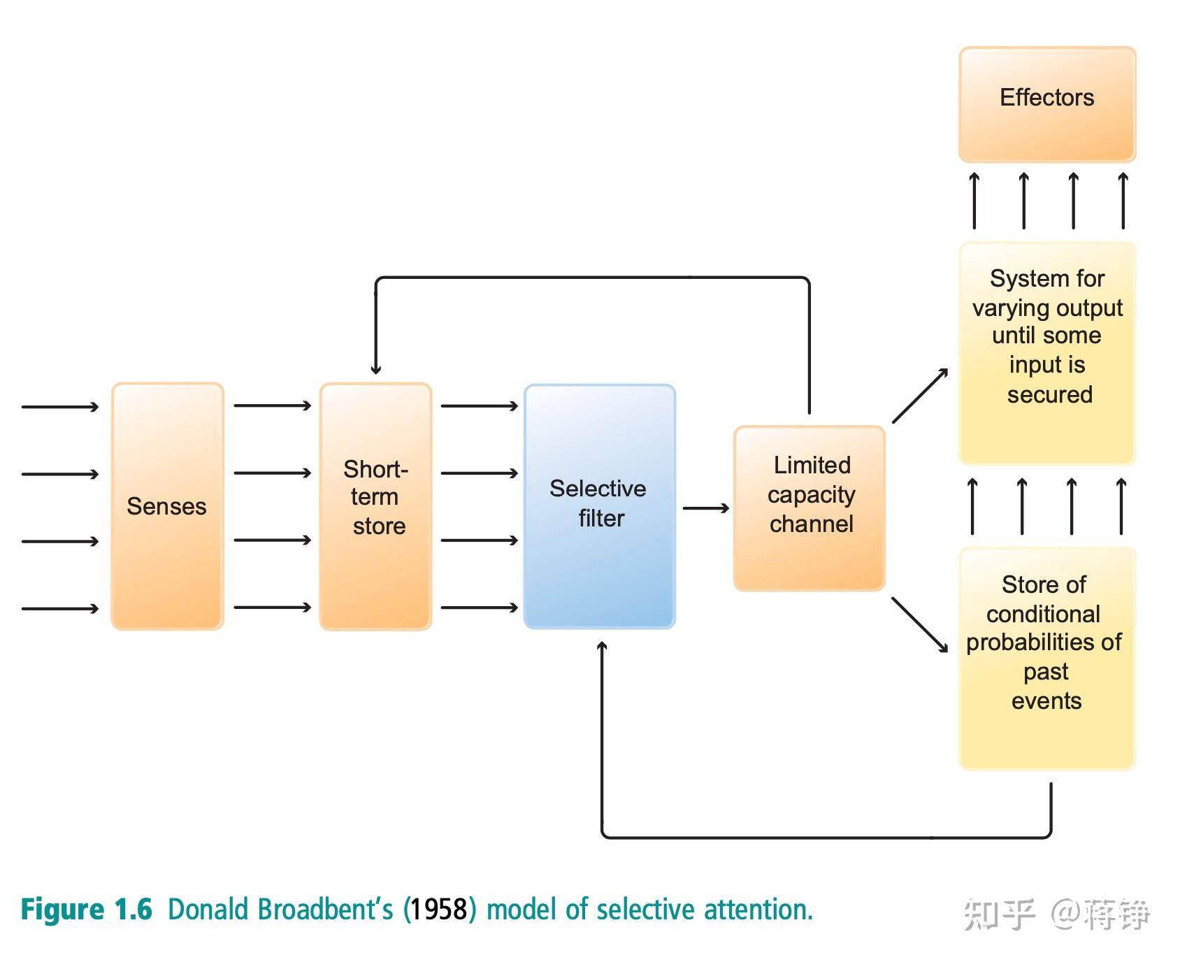 【笔记】认知科学（4）信息论与心理学模型 - 知乎