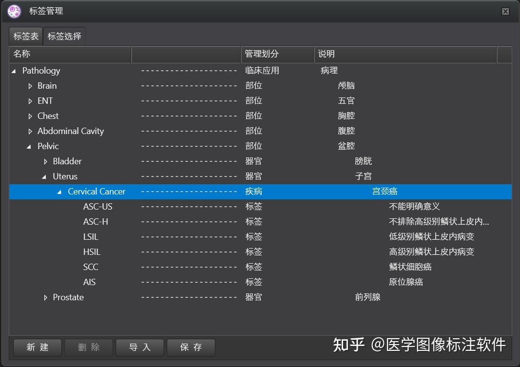 助力医学临床AI — MISAT医学图像分割与标注软件套装 - 知乎
