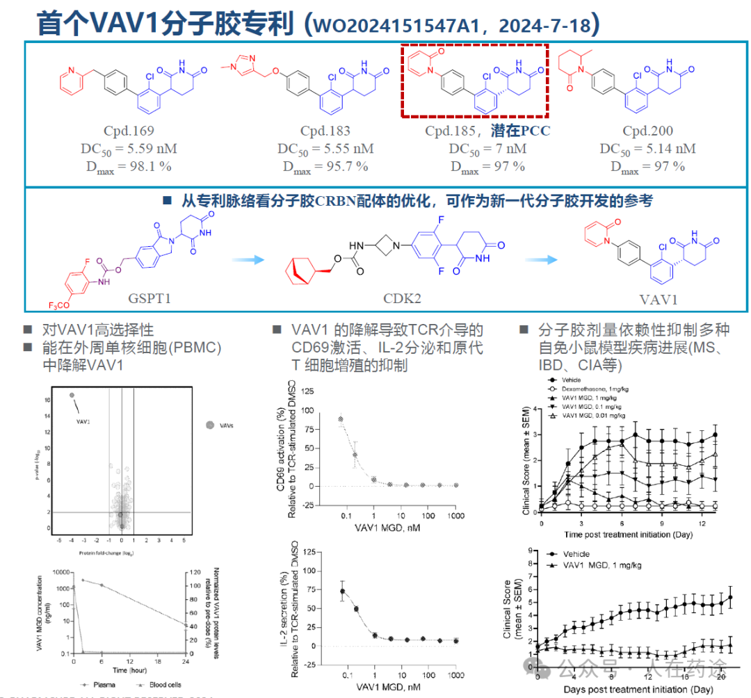 22.5亿美元！诺华青睐的VAV1分子胶长啥样？市场前景如何？ - 知乎