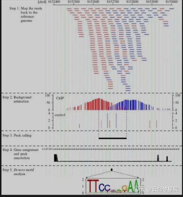 科研人必不可少的chip-seq，尽快收藏 - 知乎