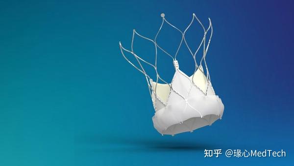 雅培（Abbott）公司 FDA 批准 TAVI 设备，对爱德华兹、美敦力（Medtronic）提出挑战 - 知乎